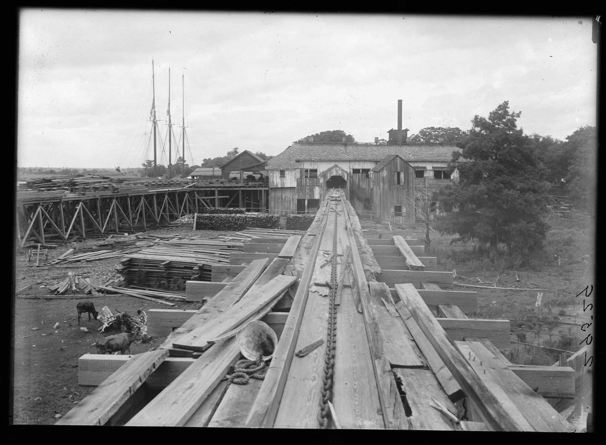 Huron Smith in Georgia